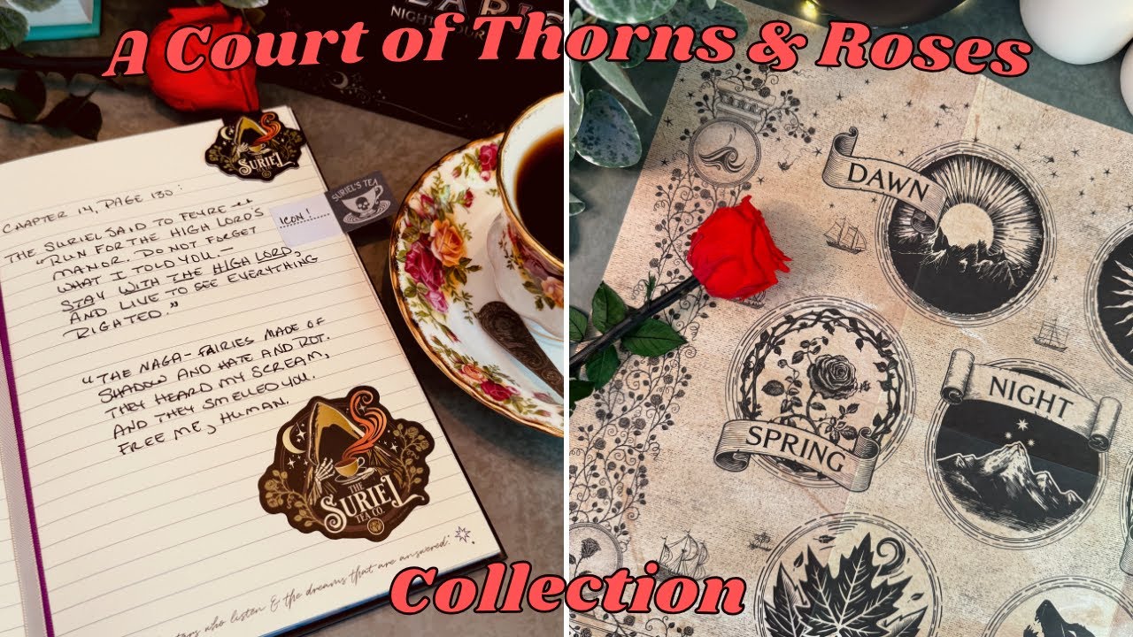 A Court of Thorns & Roses Sarah J. Maas Collection by Con*Quest ...