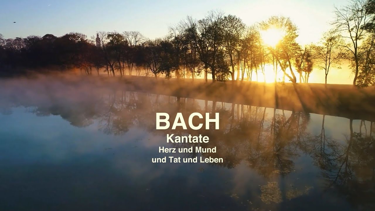 Bach KANTATE🎺Herz und Mund und Tat und Leben🎺Culture & Classics🎺Best of ...