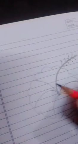 hibiscus flower drawing easy shading (Rashi _art_maker_001) - YouTube