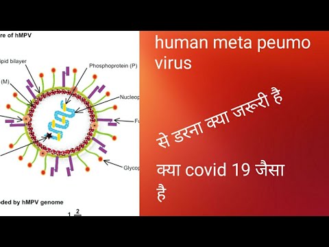 Hएमपी virus से डरना जरुरी है क्या # is there any need to worry about ...