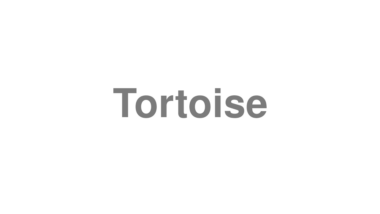 How to Pronounce "Tortoise" - YouTube