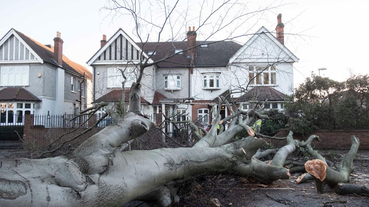 Fierce winds fell trees and cause travel chaos across the UK - YouTube