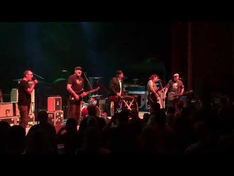 J. Navarro & the Traitors - " Traitors Stomp" Live 8-17-2019 - YouTube