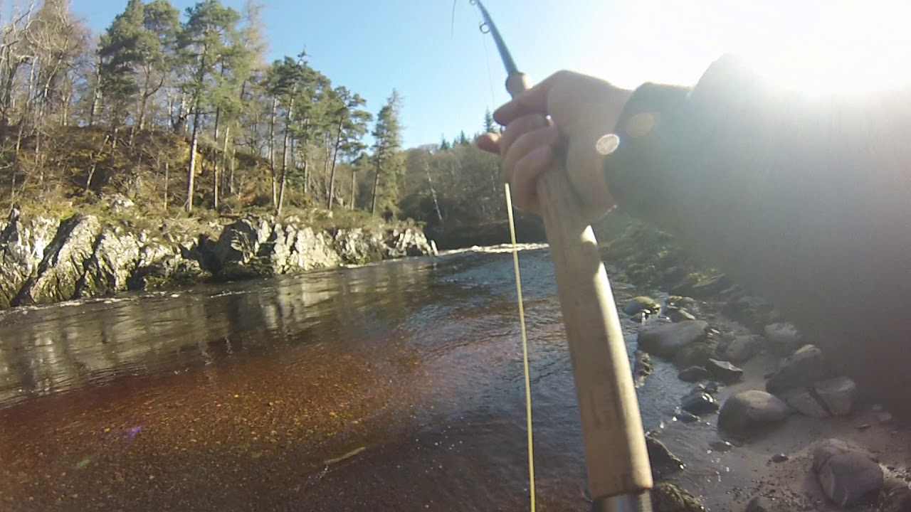 River Findhorn, Scotland, Logie beat. Fly fishing Salmon. - YouTube