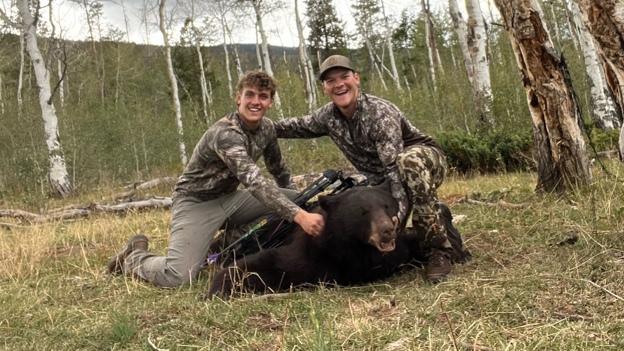 Colorado Bear Hunt 2023 Big Bear Down - YouTube