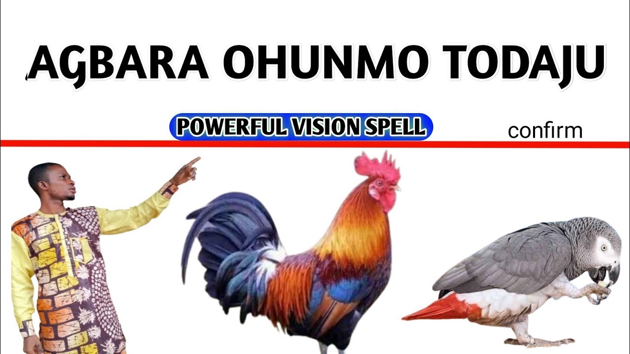 AGBARA OHUNMO TODAJU @Dromoodoagbatv - YouTube