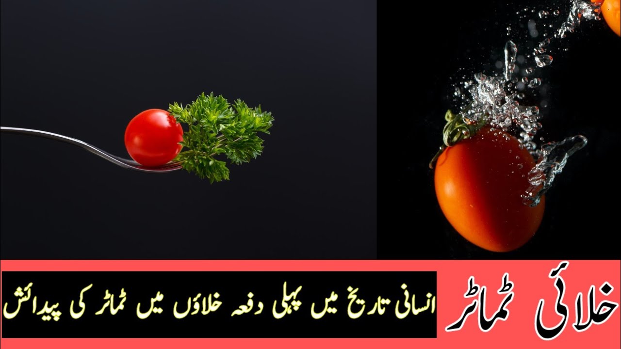 Space tomatoes... tomatoes growing in the space first time ever - YouTube