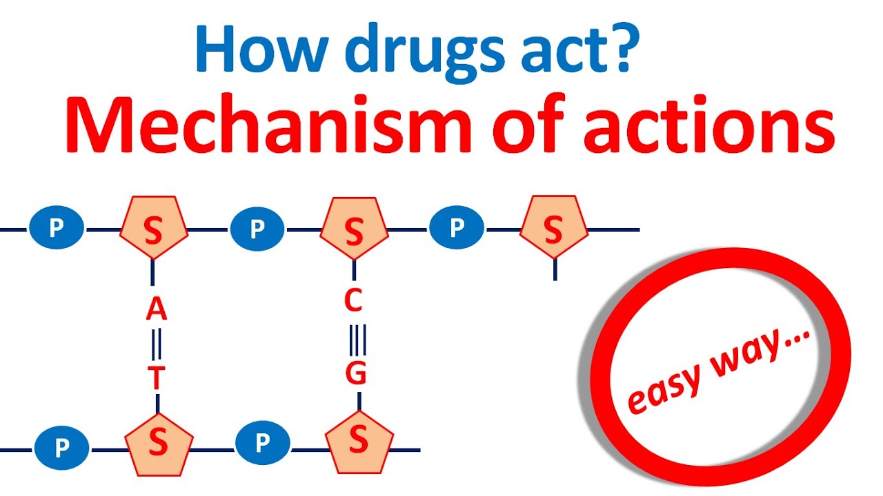 Mechanism of action of drugs in easy way - YouTube