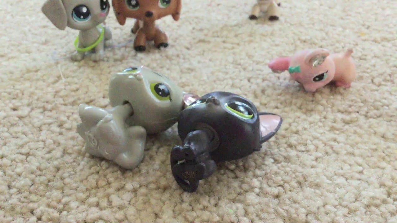 Showing my Lps collection rd - YouTube