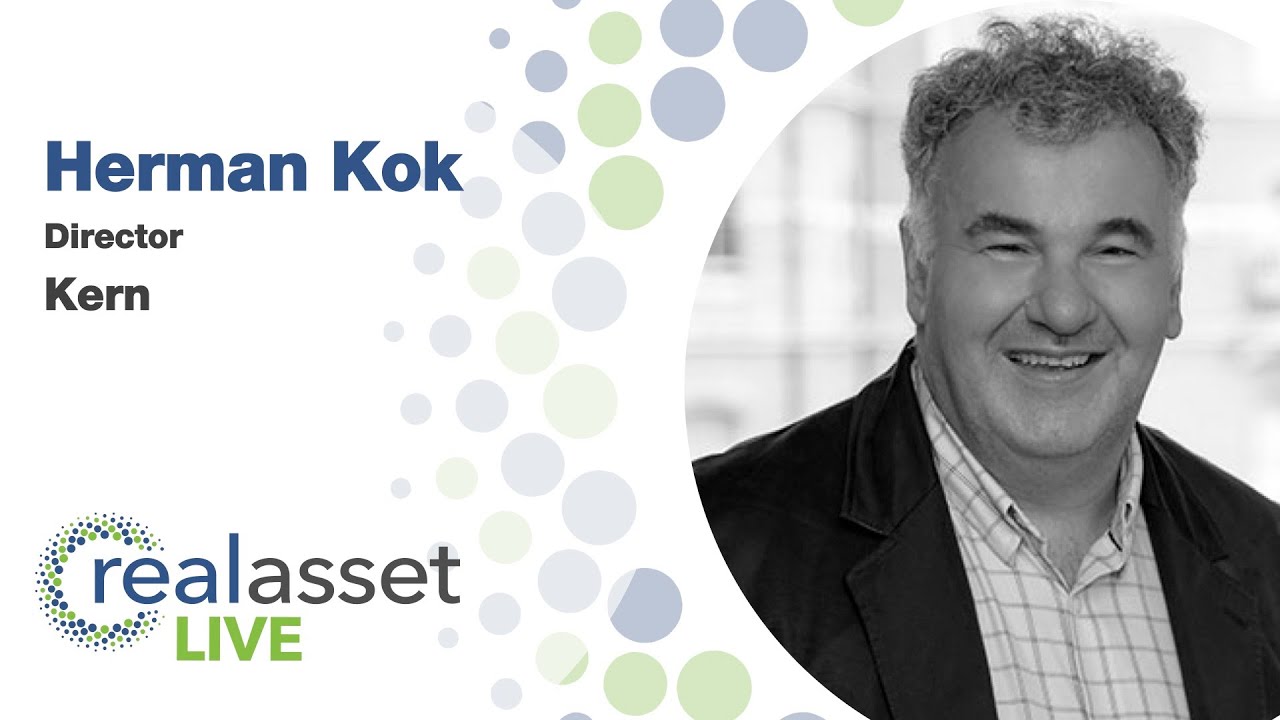 Dutch urban centres thrive as assimilate new mixed-use role: Herman Kok ...