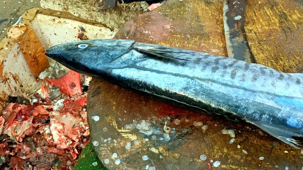 Vanjaram Fish Slice Cutting | India Fish Market | poolCT 360*🔪 - YouTube