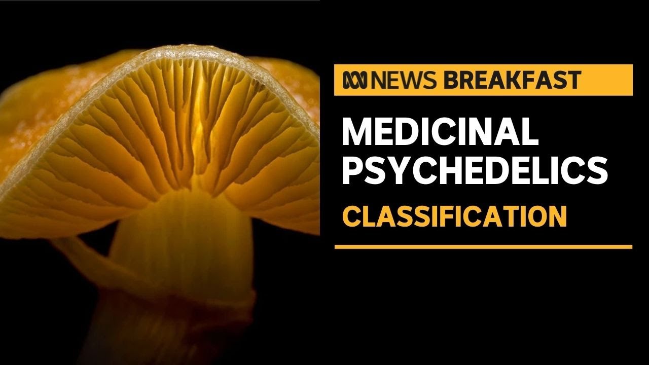 TGA considering change to classification of psychedelics | ABC News ...