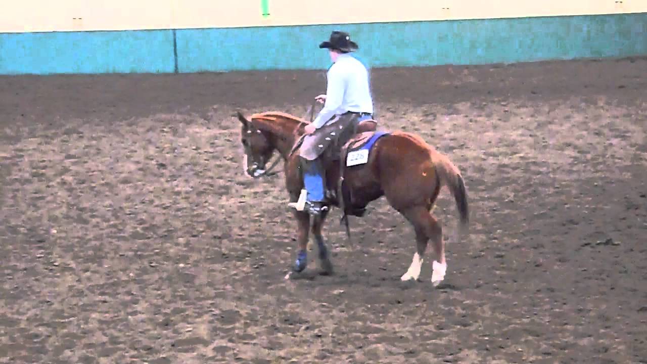 Ranch Horse Versatility - Working Cow Horse - YouTube