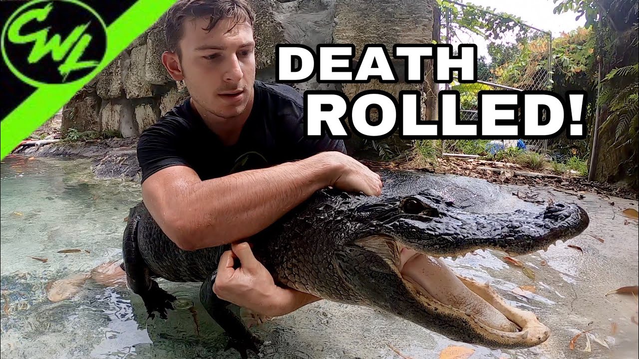DEATH ROLLED BY ALLIGATOR!!! - YouTube
