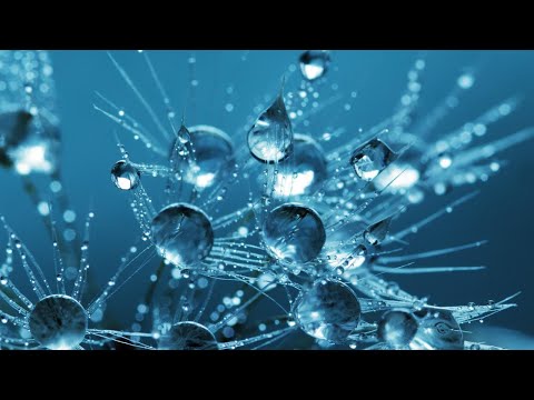 Rain Nature WhatsApp Status video 2022🌈🌈|Short 30 Secs|HD New Nature Love Background Video to Relax