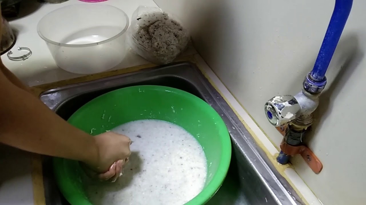 Fermentation of Virgin Coconut Oil | GEN BIOLOGY - YouTube