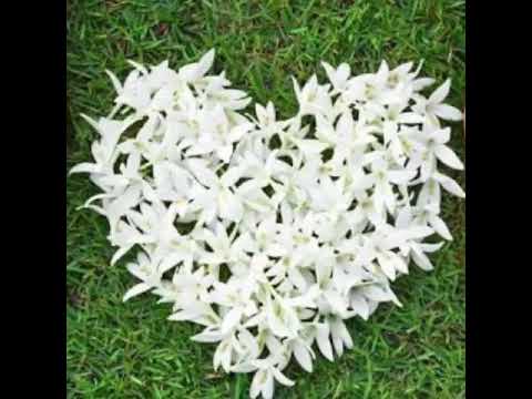 Aşkın anlamı şiir