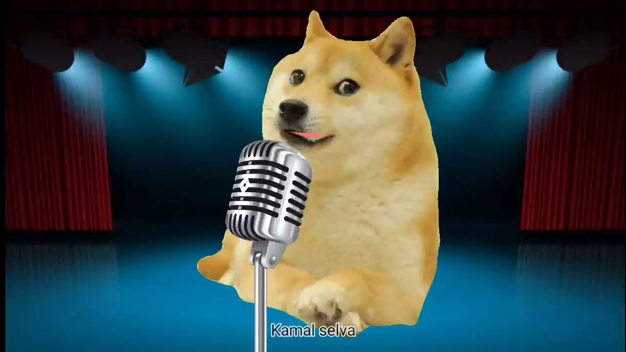 Doge Concert - YouTube
