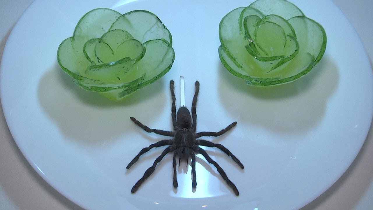 Hungry? Welcome to the museum of disgusting food - YouTube