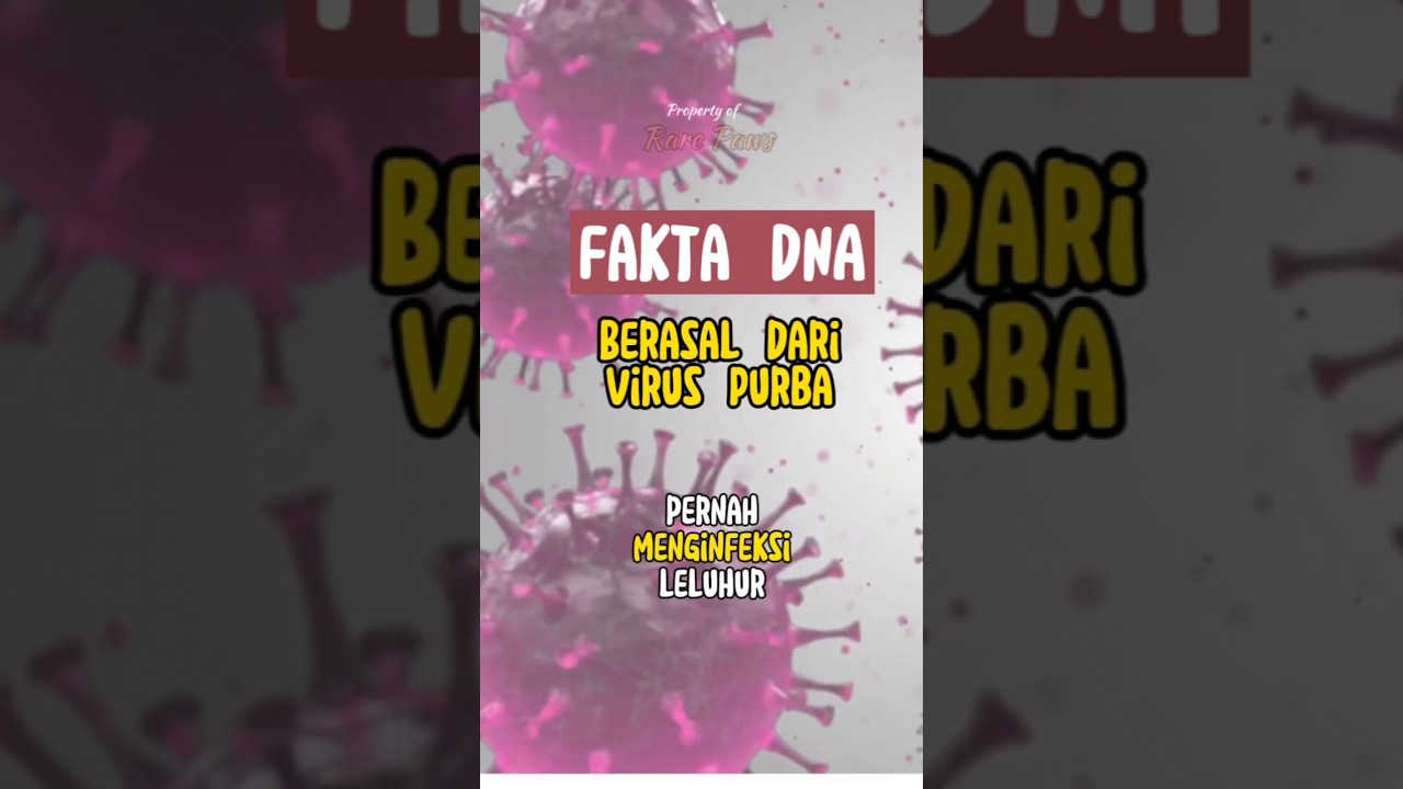 Fakta Random Unik : DNA manusia berasal dari fragmen Virus Purba # ...