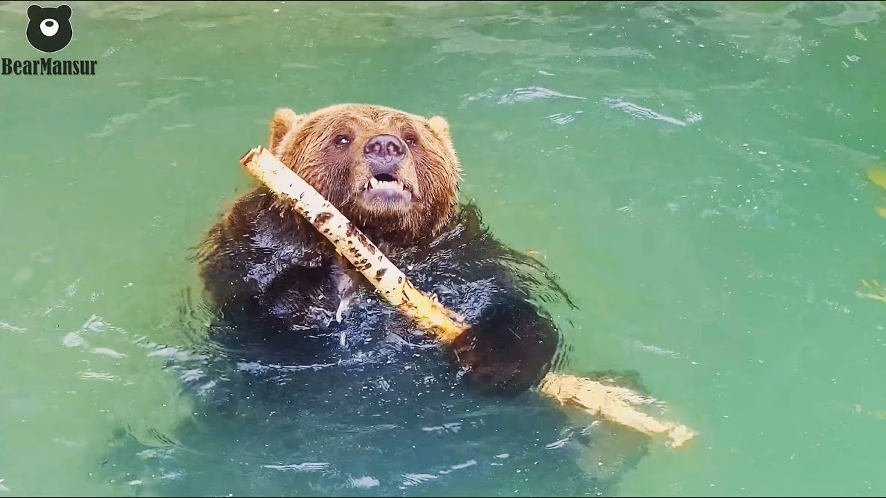 Палочка-выручалочка напарник для купания🐻🌊/Bear Mansur - YouTube