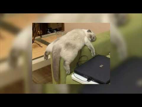 Prod. By Rose - That Couch Potato Again (sped up) - YouTube