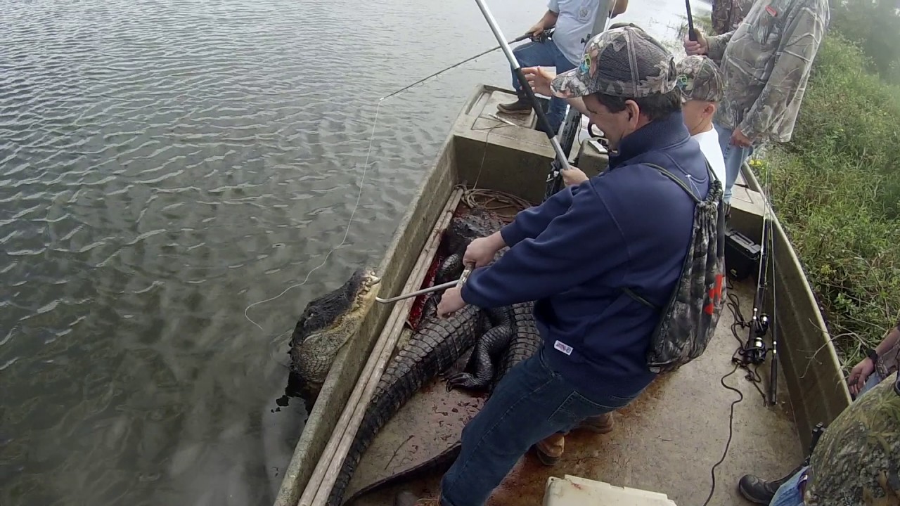 Florida Hunting Trip - Part 1 Alligator Hunting - YouTube