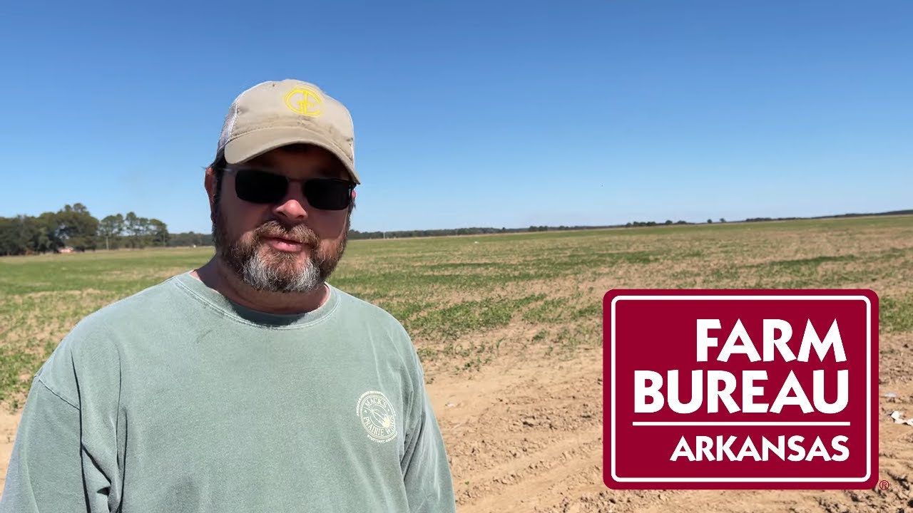 Update from the Farm | Brian Alumbaugh, Woodruff Co. - YouTube