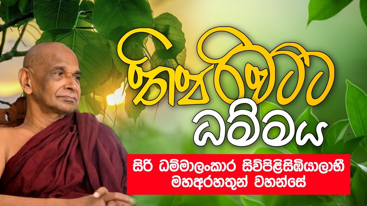 තිපරිවට්ට ධම්මය | අතිපූජනීය බුද්ධ පුත්‍ර මීවනපලානේ සිරි ධම්මාලංකාර ...