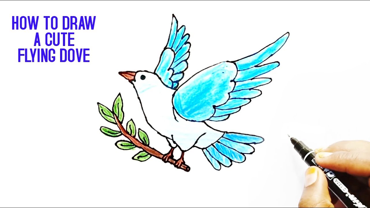 How to Draw a Dove - Easy Tutorial - YouTube