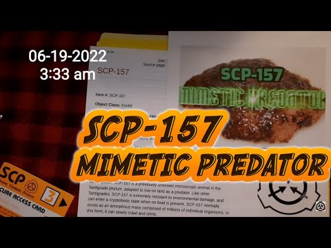SCP-157 MIMETIC PREDATOR [SCP Files] - YouTube