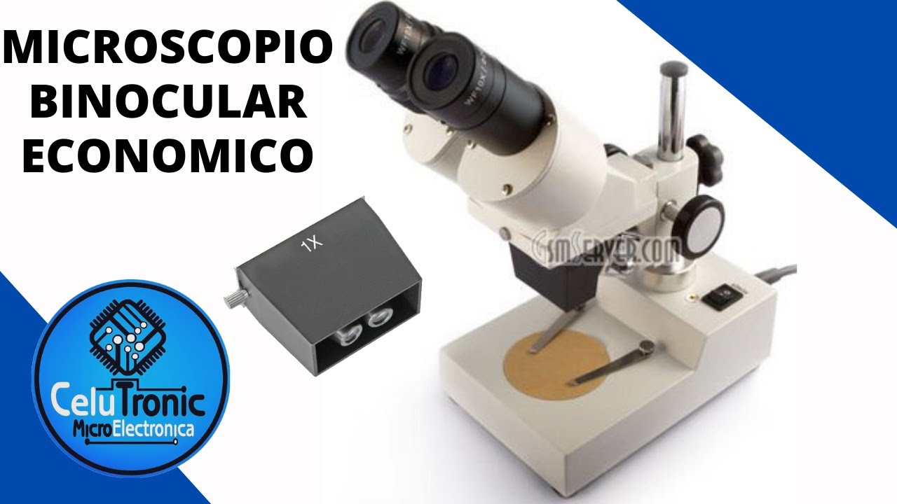 MICROSCOPIO BINOCULAR IDEAL PARA INICIAR - YouTube