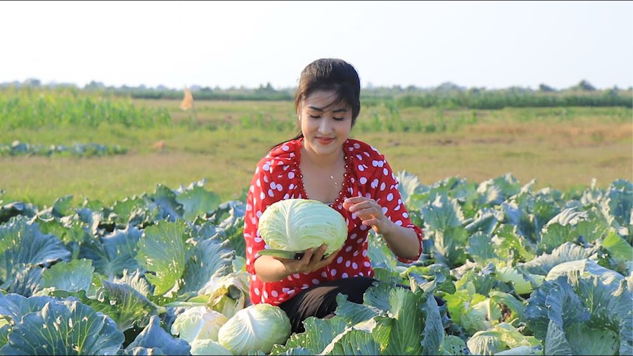 Harvest vegetables in my village farm for cooking / Prepare By ...