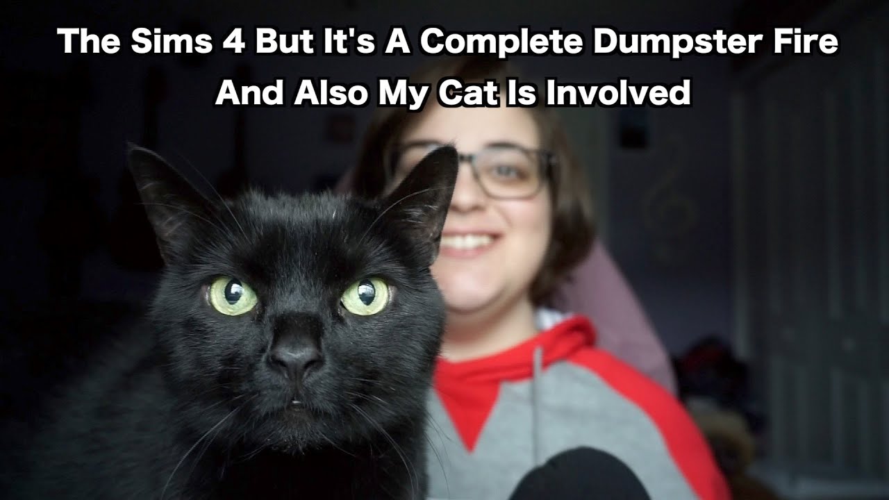 The Sims 4 But It's A Complete Dumpster Fire And Also My Cat Is ...