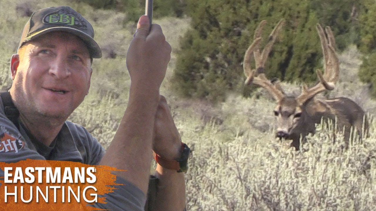200 Inches of Velvet! Guy Eastman Hunts Mule Deer - YouTube