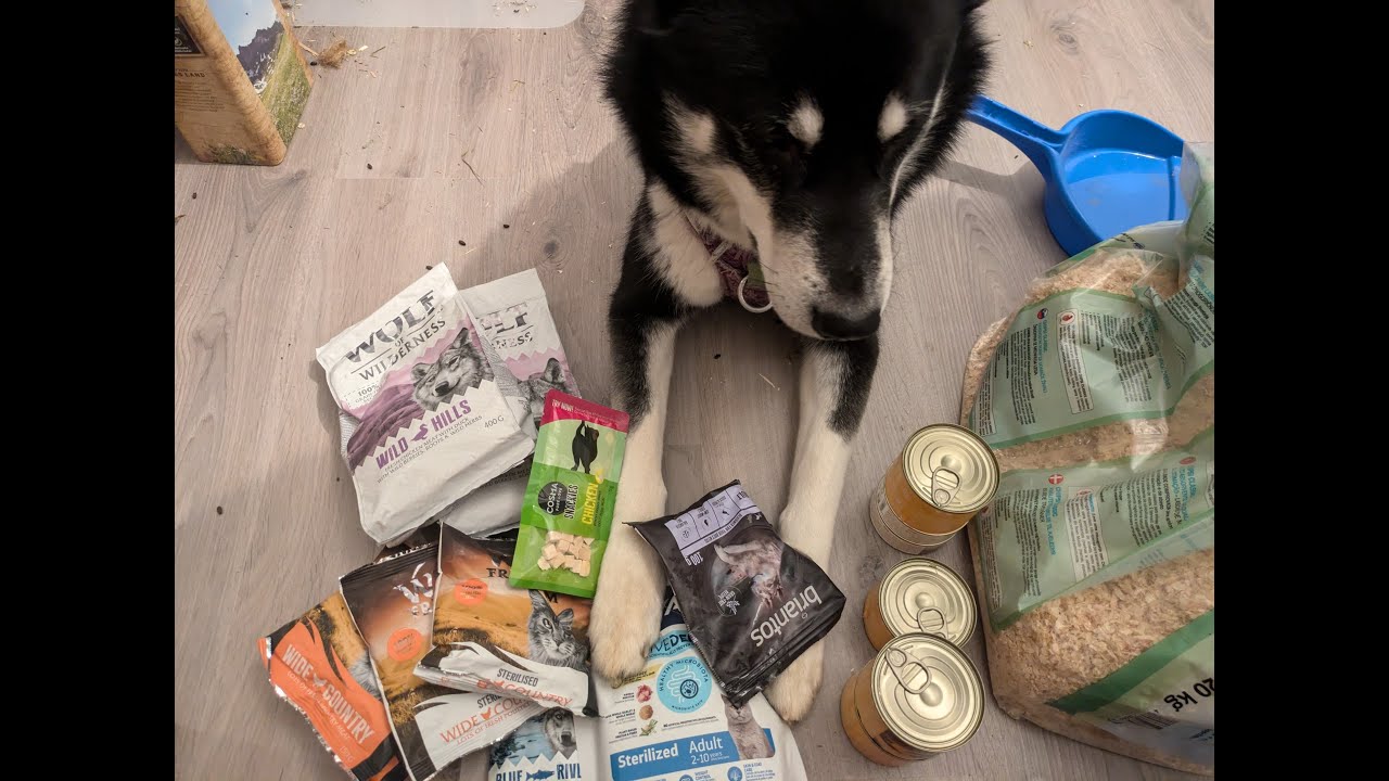 Zooplus Bestellung für Hunde und Katzen 💙 | Husky Haul | 🐺 Husky ...