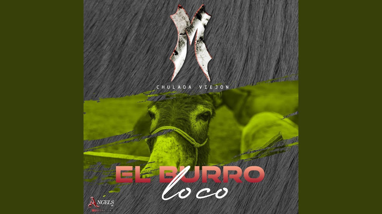 El Burro Loco - YouTube