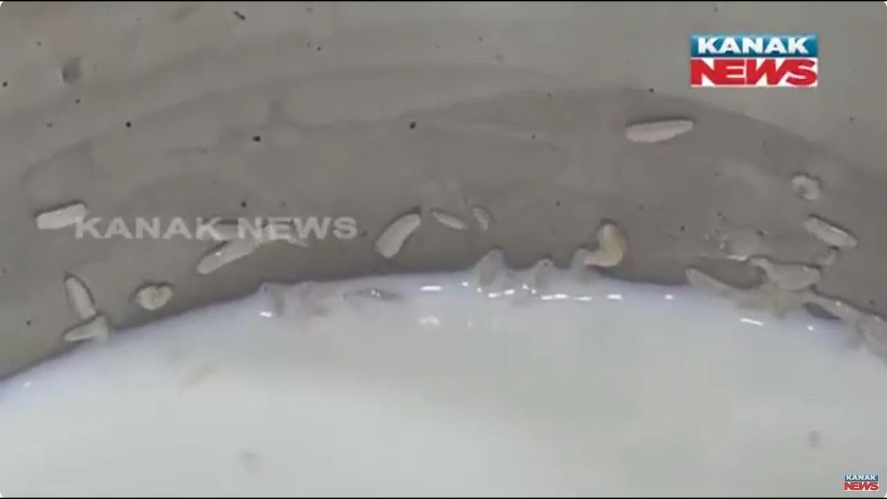 Worms Found In TN Govt Owned Aavin Delight Milk In Ooty, Nilgiris - YouTube
