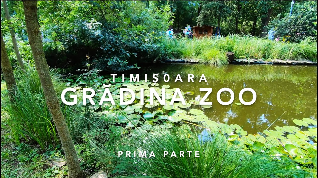 Timisoara Gradina Zoologica (1) - Zoo - Maimute - Zebra - Cerb - Pisici ...