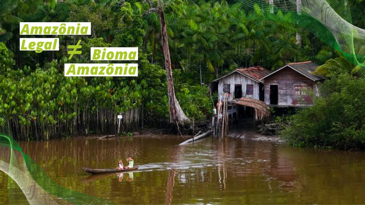 Vem conhecer a diferença entre Bioma Amazônia e Amazônia Legal! - YouTube