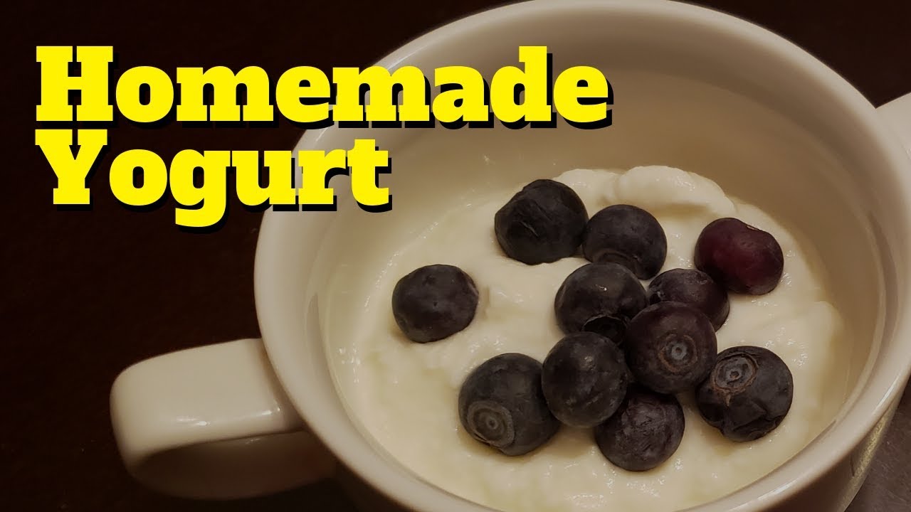 Easy and Simple Homemade Yogurt - YouTube