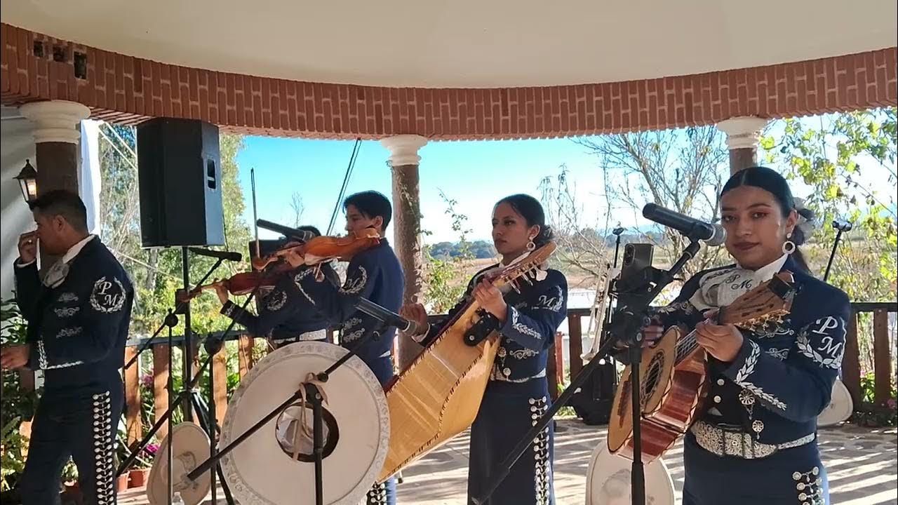 Mariachi Perla Mexicana, El Muchacho Alegre, 23-11-2024, Bodas de Oro ...