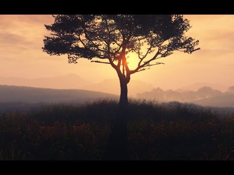 Ayrılık Türküsü (أغنية فراق) Parting Song (Grup Kıvılcım)HD