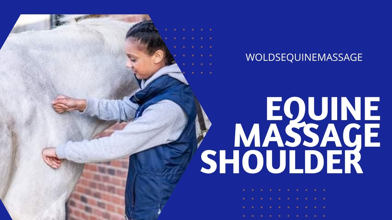 Equine Massage - Shoulder - YouTube
