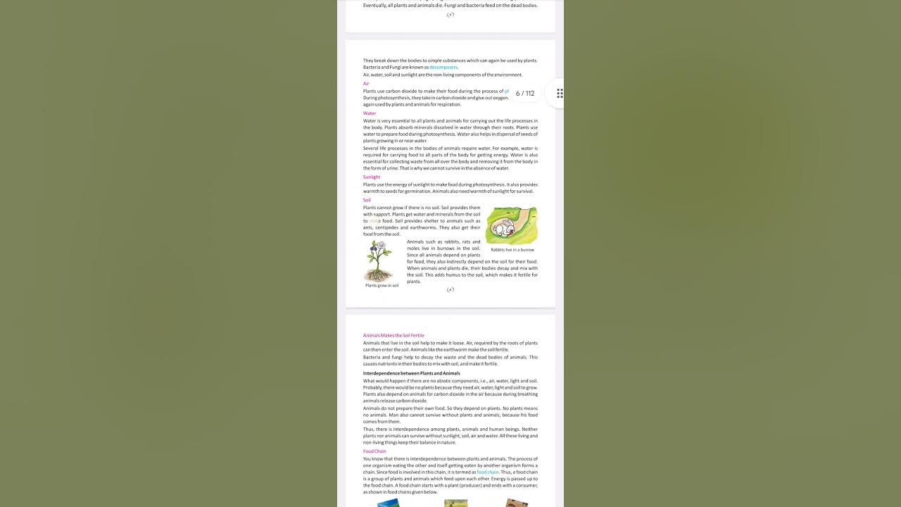 Ch 1 Interdependence in Nature Class 5 Science - YouTube