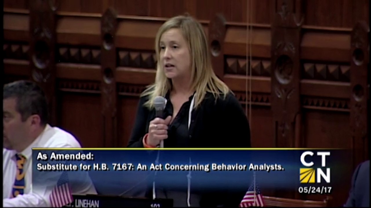State Representative Liz Linehan on H.B. 7167 - YouTube