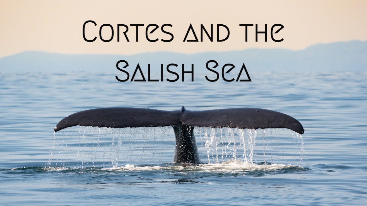 Cortes & Salish Sea: A Hidden Paradise - YouTube