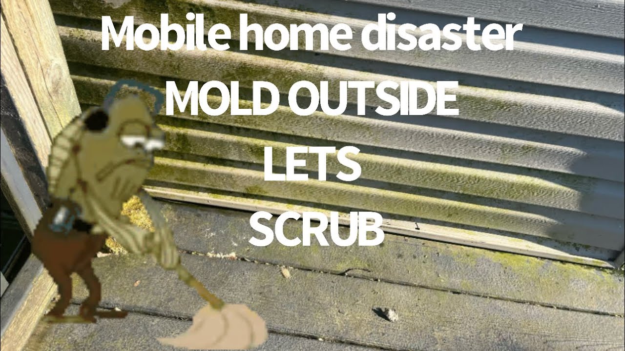 My Mobile Home Disaster MOLD Outside update - YouTube