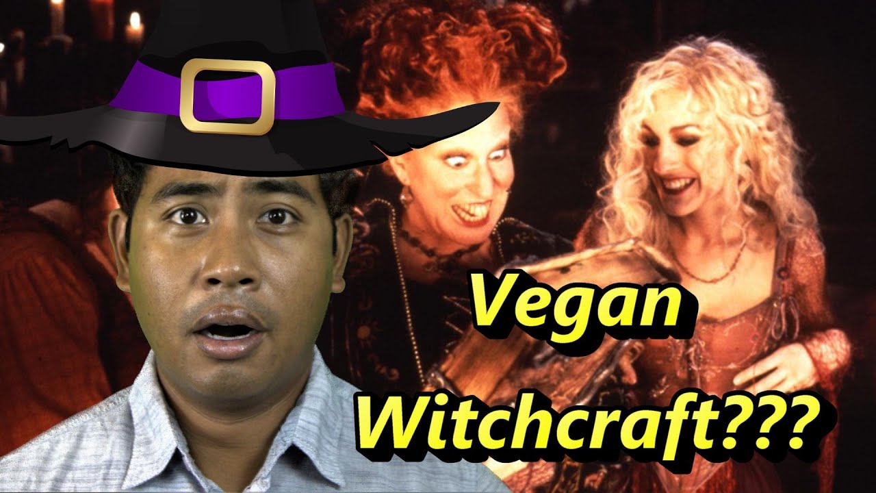 Hocus Pocus: Pop Culture and Animals with Scott David - YouTube