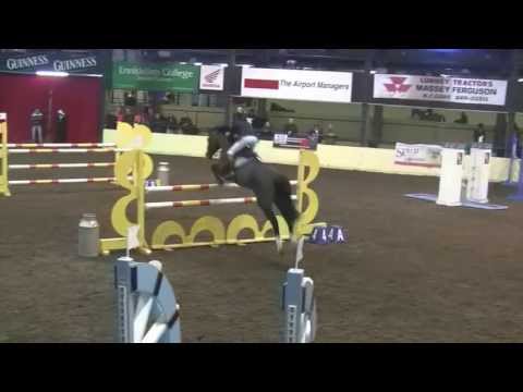 Blidworths Fluffy Duckling02